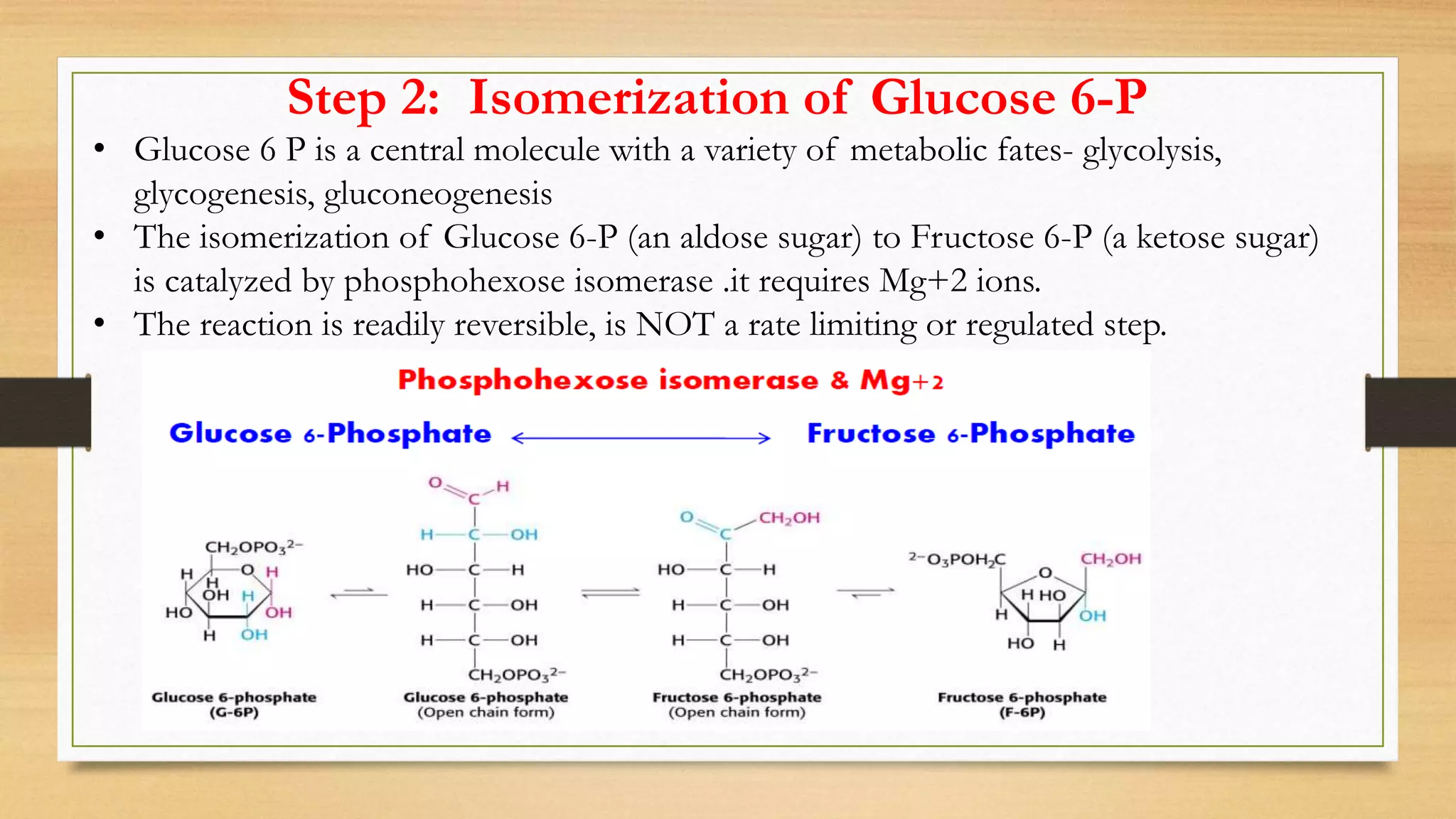 Glycolysis | PPTX
