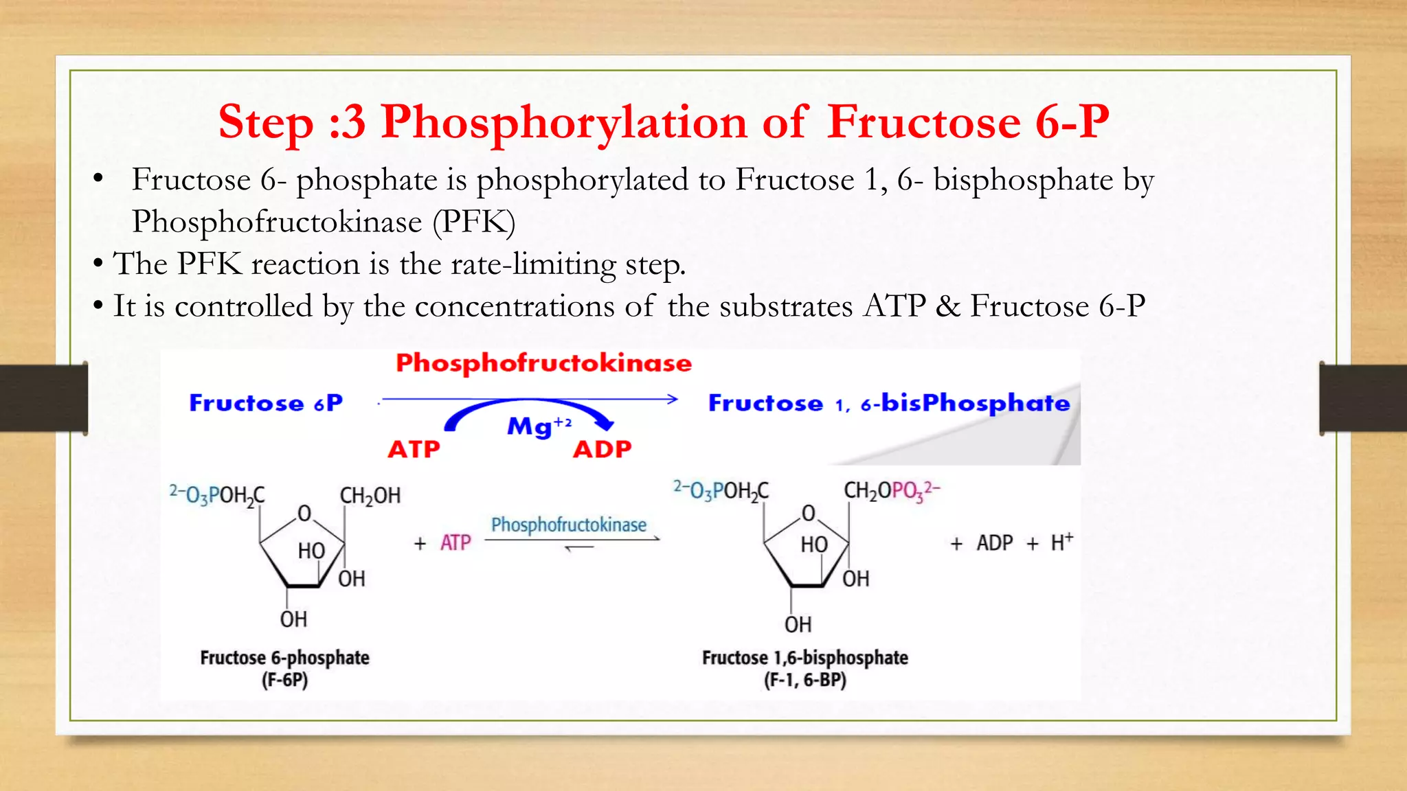 Glycolysis | PPTX