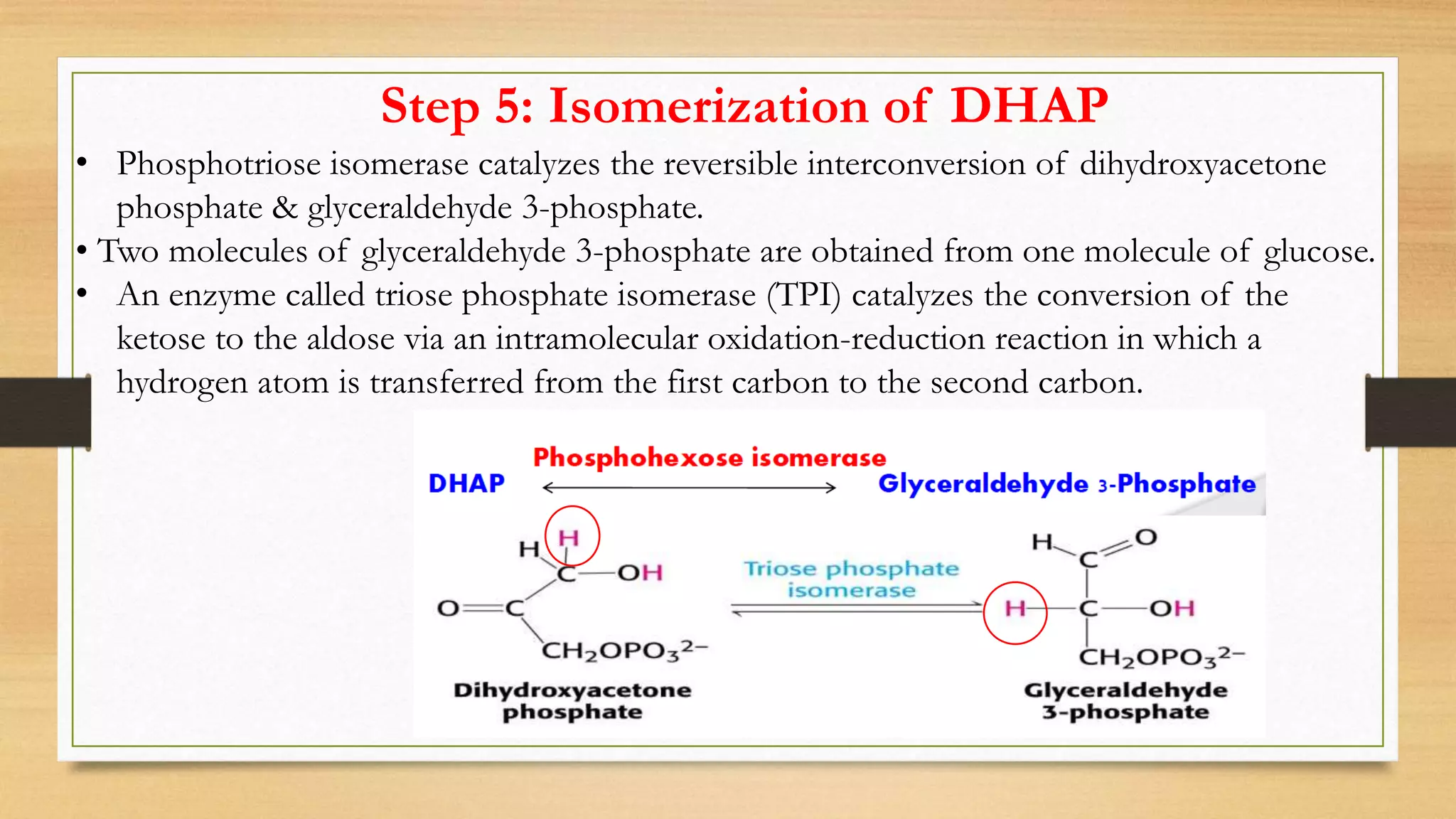 Glycolysis | PPTX