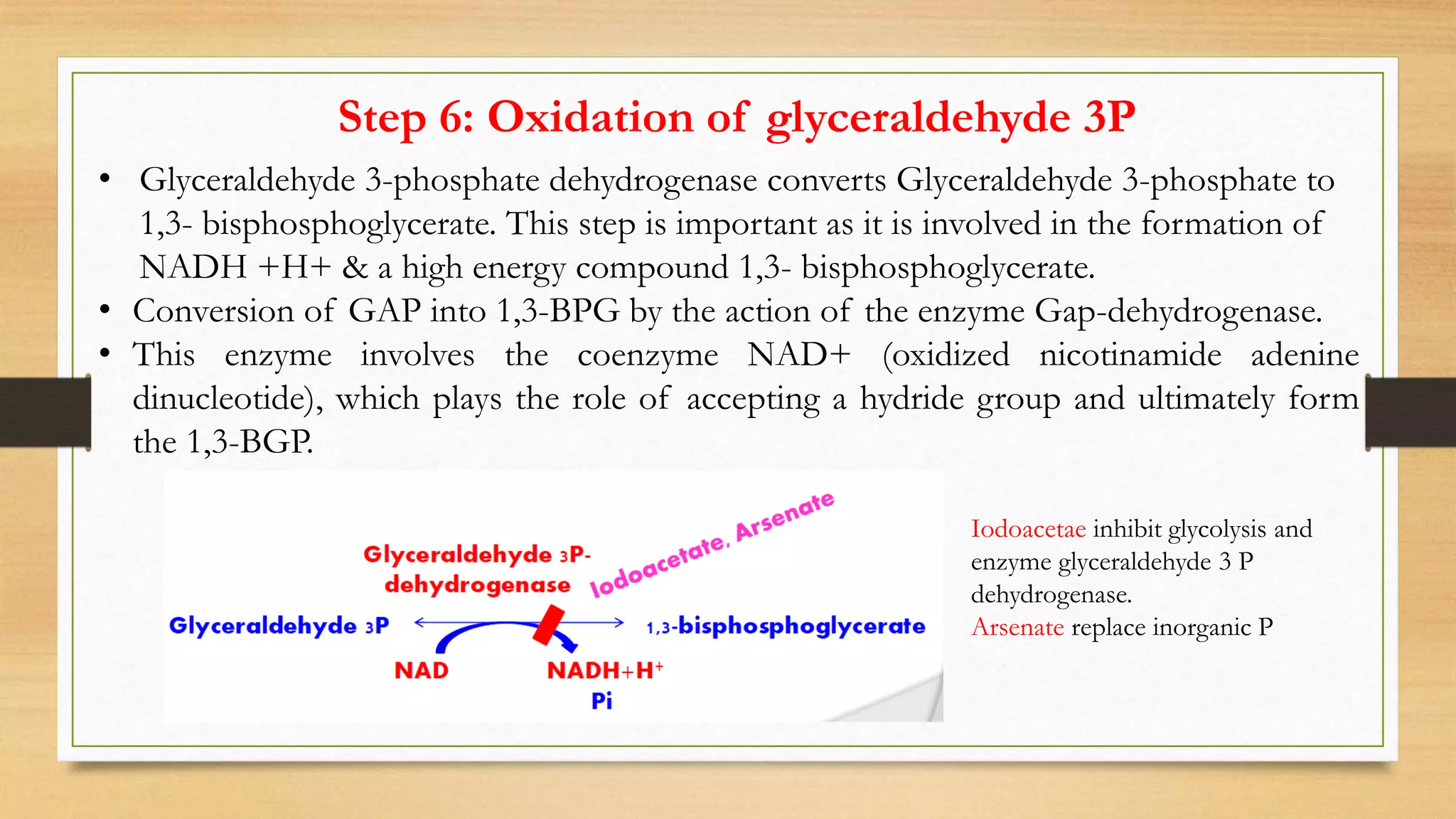 Glycolysis | PPTX