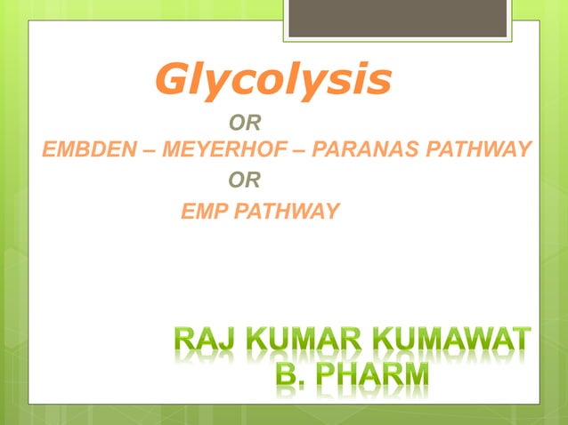 carbohydrate metabolism, Glycolysis, metabolic process of carbohydrates ...