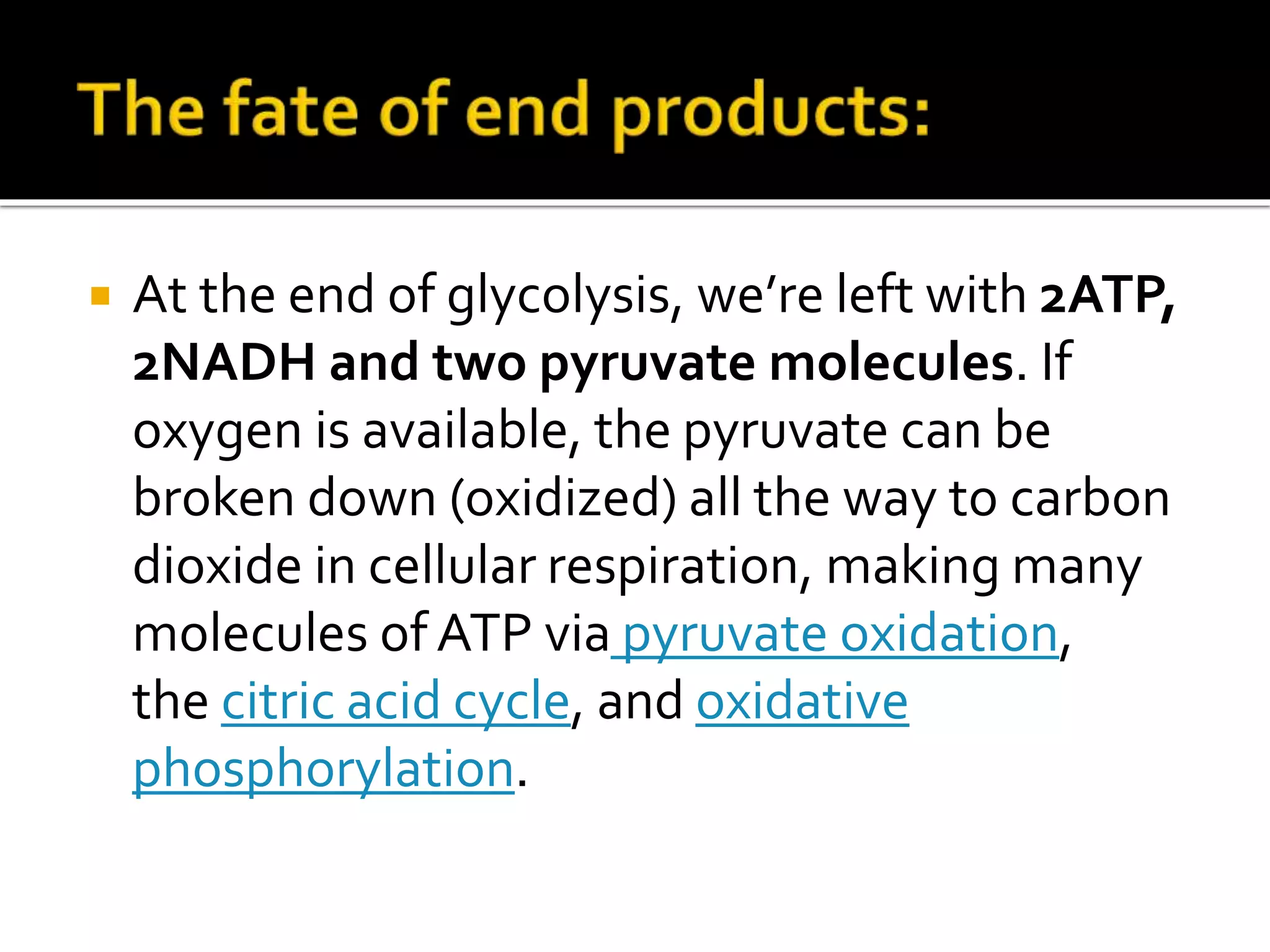 Glycolysis-the EMP pathway-Embden Meyerhoff Paranas pathway | PPTX