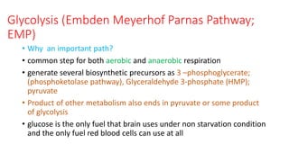 Glycolysis | PPTX