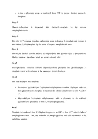 Glycolysis | DOCX