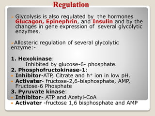 Glycolysis , its regulation and energetics | PPTX
