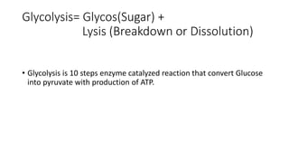 glycolysis.pptx