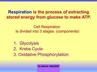 Glycolysis.pdf