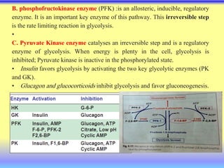 Glycolysis.pdf