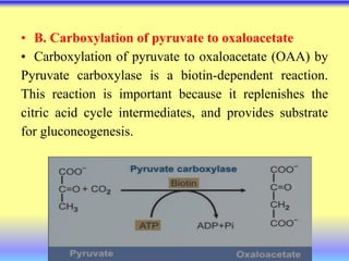 Glycolysis.pdf