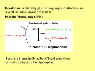 glycolysis.ppt