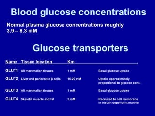 GLYCOLYSIS.ppt | Chemistry | Science