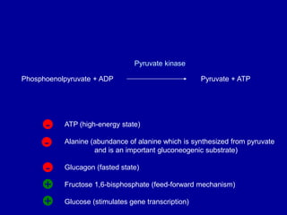 GLYCOLYSIS.ppt