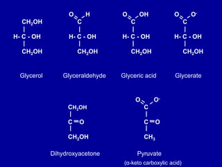 GLYCOLYSIS.ppt