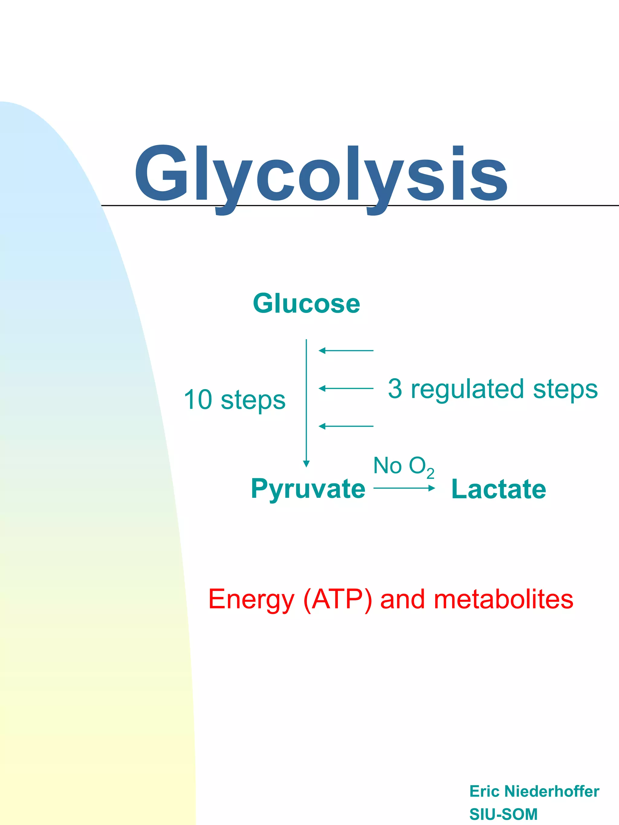 glycolysis.ppt | Chemistry | Science