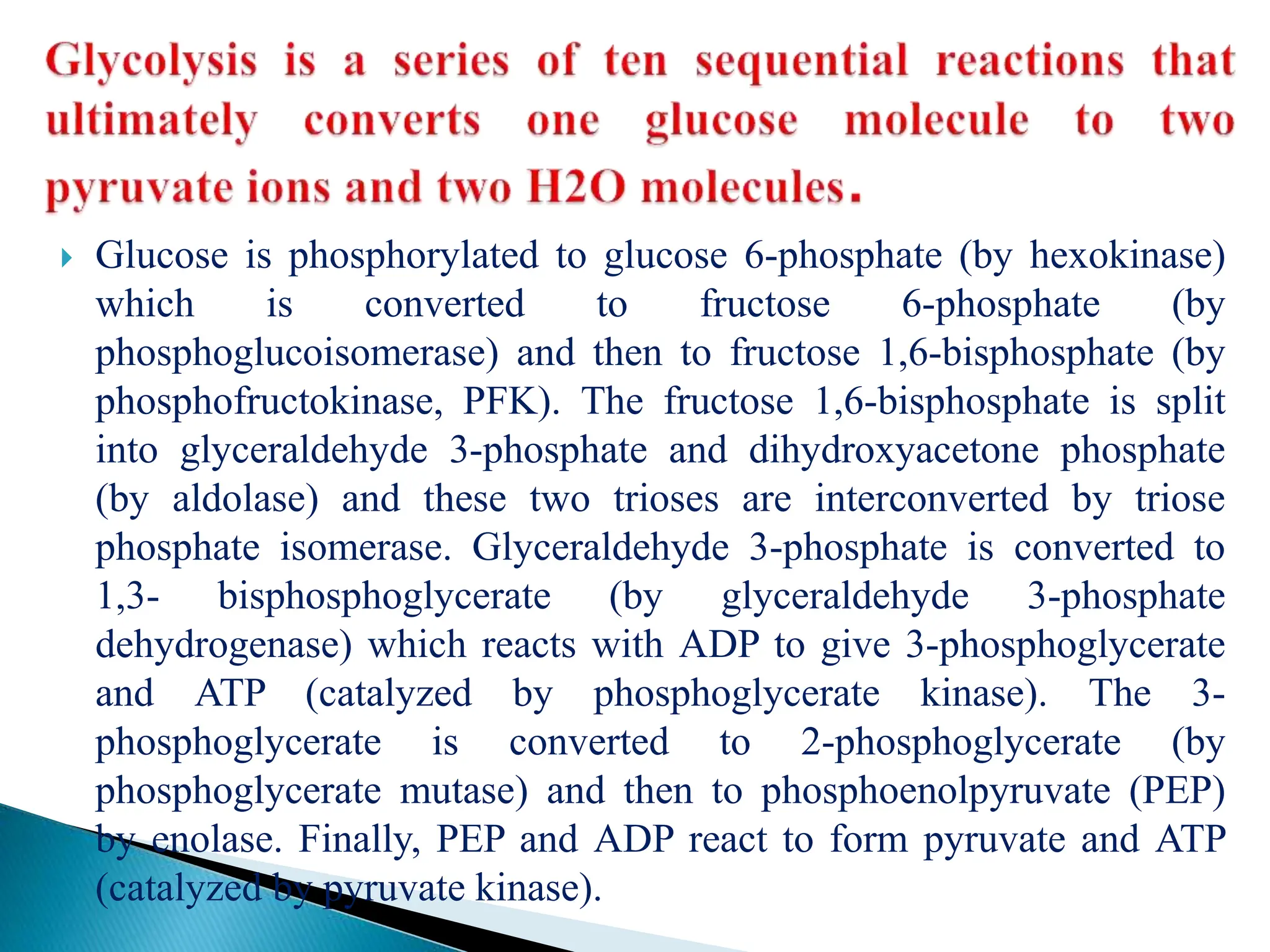 Glycolysis cycle and their Pathways11111 | PPTX | Endocrine and Metabolic Diseases | Diseases ...