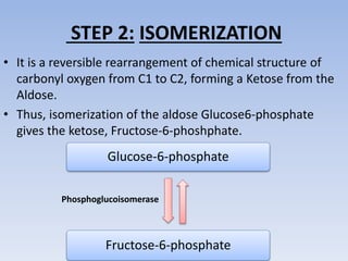 glycolysis , pathway, regulations and stochemetric of glycolysis | PPT
