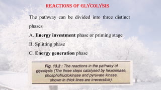 Glycolysis (Embden-Meyerhof pathway -Carbohydrate metabolism) | PPT