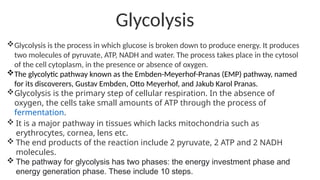 Glycolysis - breakdown of glucose in pyruvate.pptx