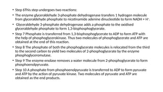 Presentation on GLYCOLYSIS general biology.pptx
