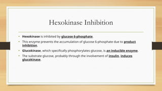 Glycolysis - Metabolic Pathway (Biochemistry) | PPT