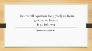 Glycolysis - Metabolic Pathway (Biochemistry) | PPTX