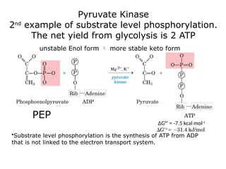 Glycolysis– Pathway, energetics and significance | PPTX