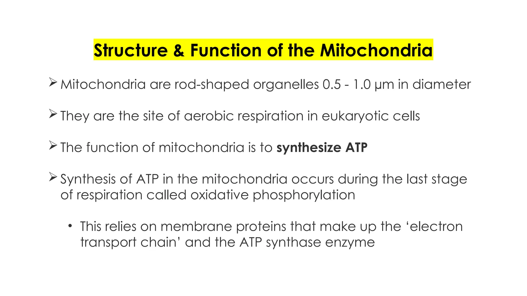 GLYCOLYSIS powerpoint presentation. Cellular respiration | PPTX