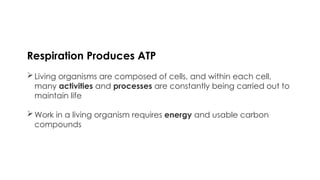 GLYCOLYSIS powerpoint presentation. Cellular respiration | PPTX