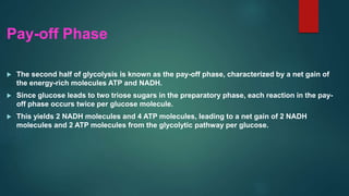 Glycolysis | PPTX