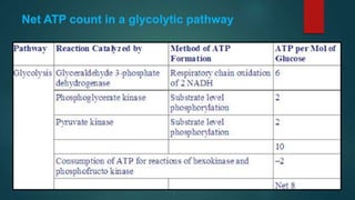 Glycolysis | PPTX