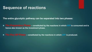 Glycolysis | PPTX