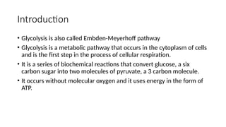 Glycolysis HVYDVCB (1).pptx | Free Download