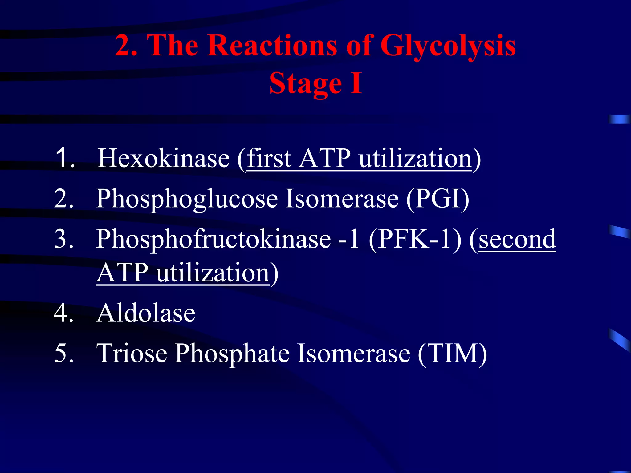 Glycolysis1 - Copy.ppt
