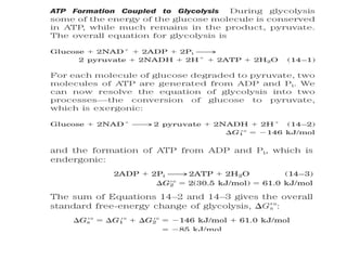 Glycolysis and glucose metabolism 21 SEPT 24.pptx