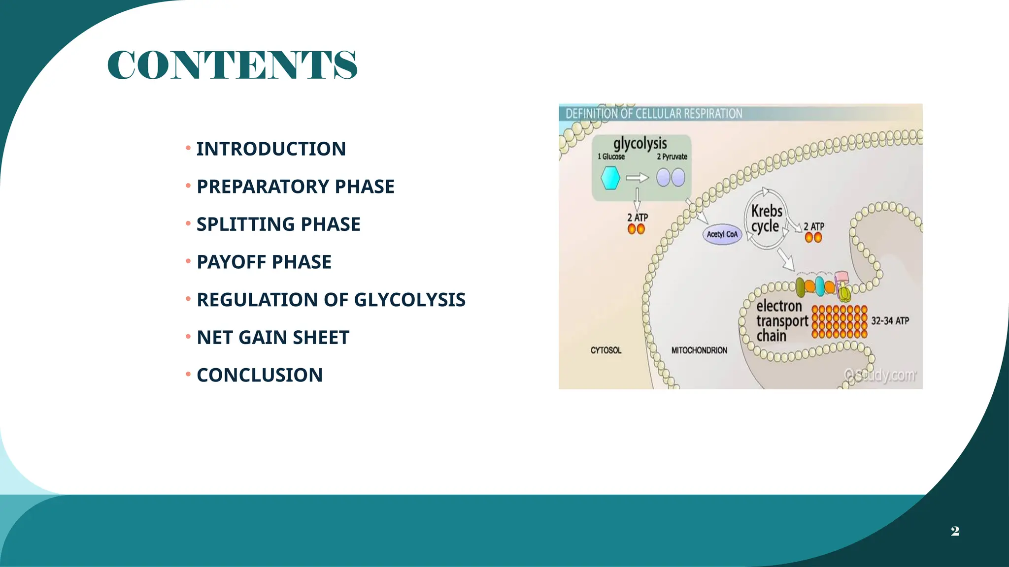 GLYCOLYSIS ppt presentation biochemistry | PPTX