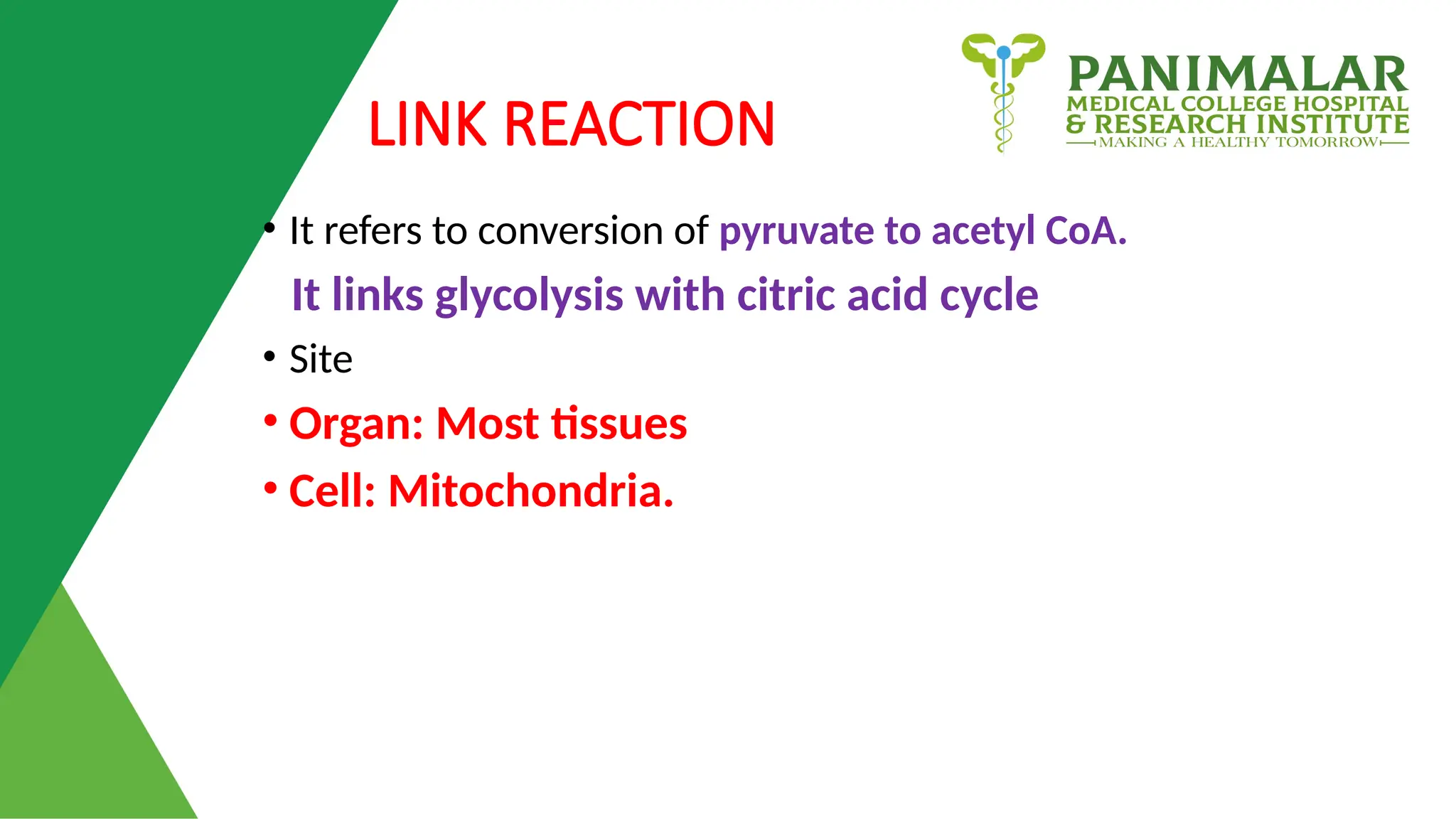 glycolysis AHS 2023.pptx glycolysis AHS 2023.pptx