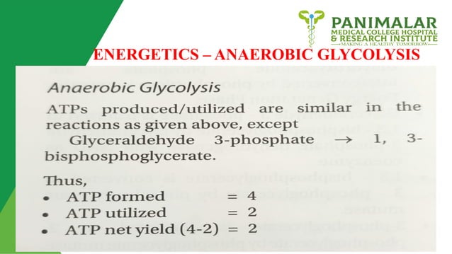 glycolysis AHS 2023.pptx glycolysis AHS 2023.pptx