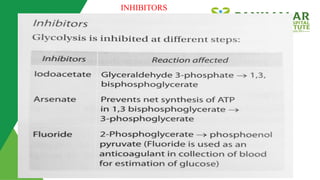 glycolysis AHS 2023.pptx glycolysis AHS 2023.pptx