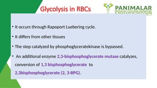 glycolysis AHS 2023.pptx glycolysis AHS 2023.pptx