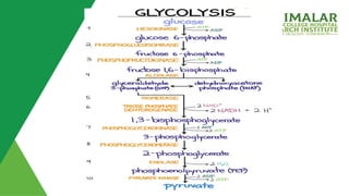 glycolysis AHS 2023.pptx glycolysis AHS 2023.pptx