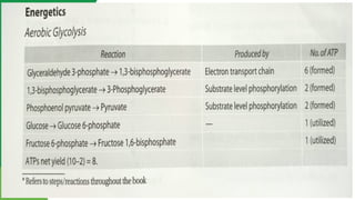 glycolysis AHS 2023.pptx glycolysis AHS 2023.pptx
