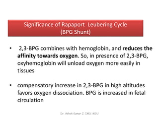 Glycolysis and Cori's cycle Dr. Ashok Kumar Jeppu | PPTX