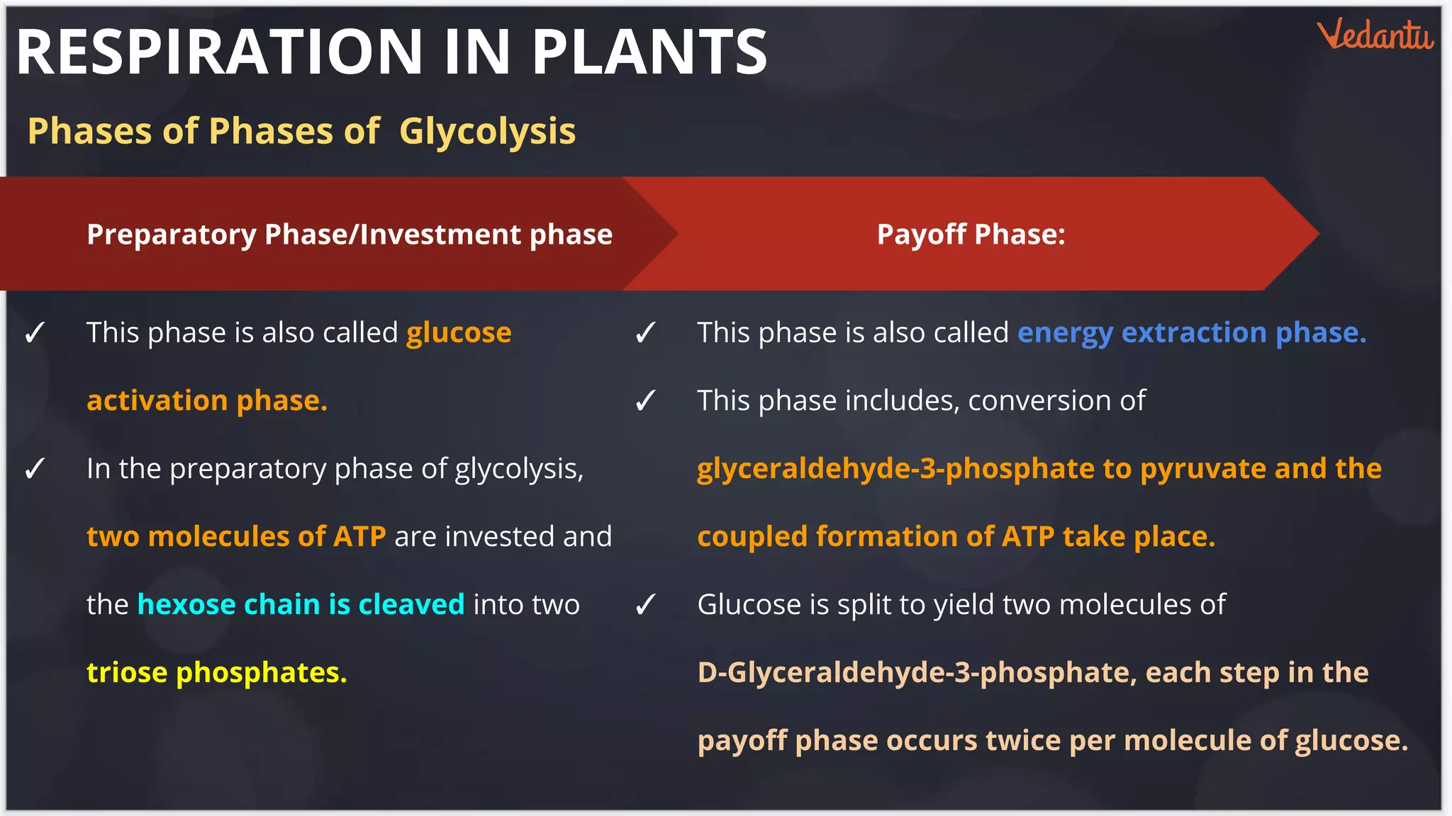 Glycolysis+and+Fermentation.pdf