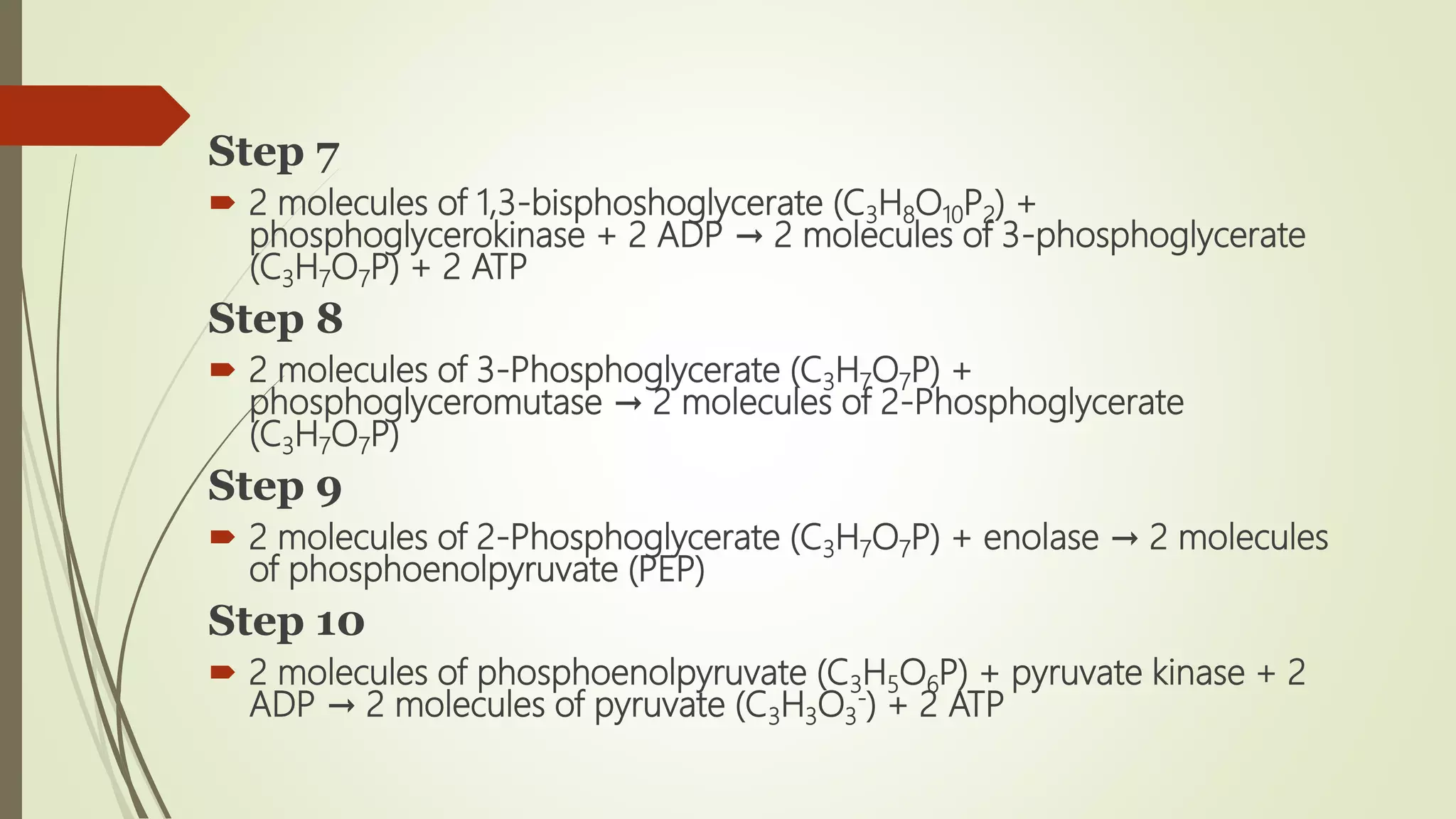 Glycolysis and krebs cycle | PPTX