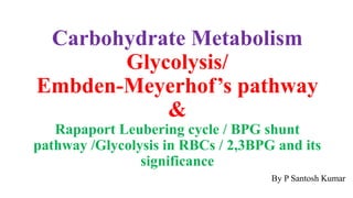 Glycolysis and Rapaport leubering cycle or BPG shunt.pdf