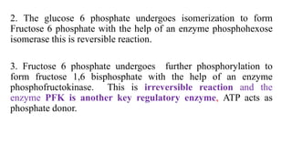 Glycolysis and Rapaport leubering cycle or BPG shunt.pdf