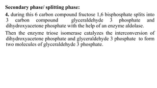 Glycolysis and Rapaport leubering cycle or BPG shunt.pdf