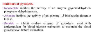 Glycolysis and Rapaport leubering cycle or BPG shunt.pdf