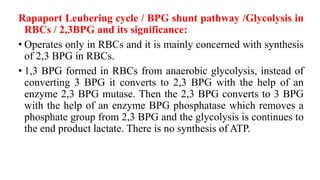 Glycolysis and Rapaport leubering cycle or BPG shunt.pdf