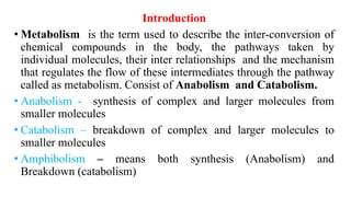 Glycolysis and Rapaport leubering cycle or BPG shunt.pdf